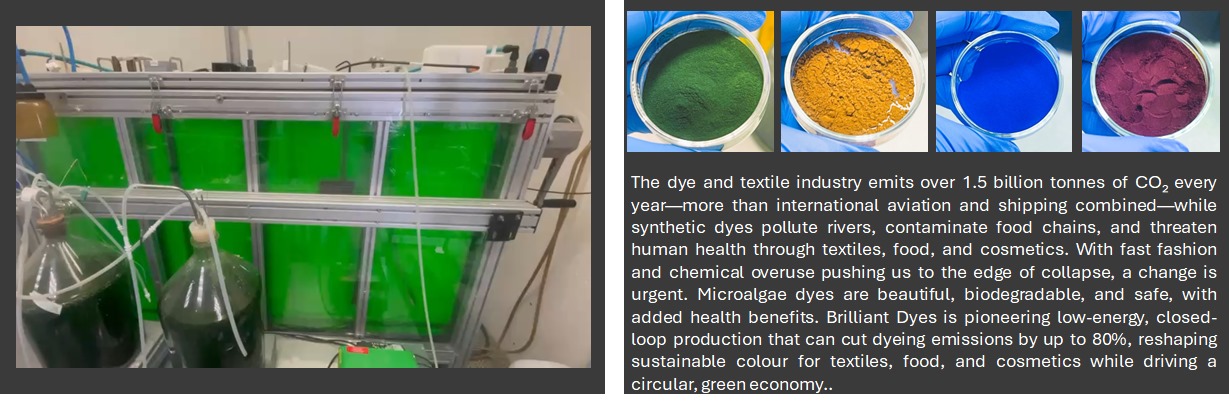 Brilliant Dyes - Sustainable Natural Dyes from Algae